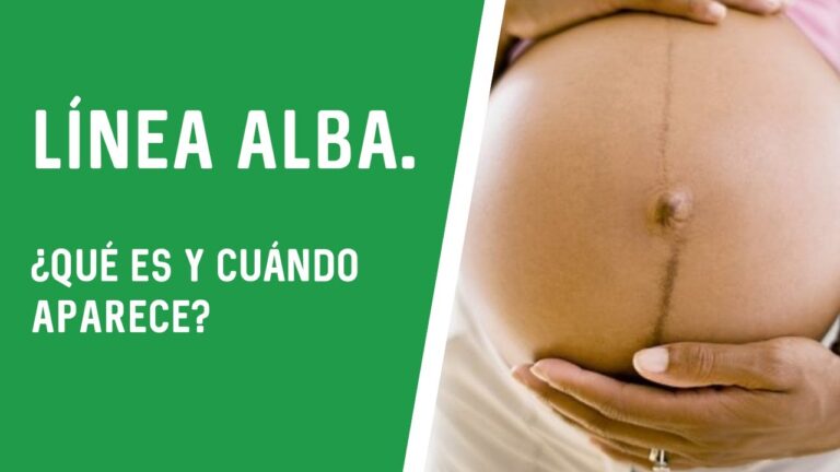 La Línea Alba: ¿Por Qué Aparece Sin Estar Embarazada? - Blog sobre ...