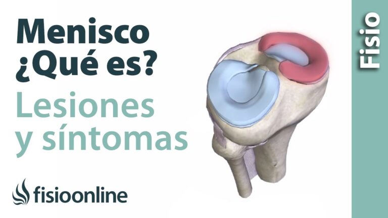 ¿Qué es peor: la rotura del menisco interno o externo? Comparativa y ...