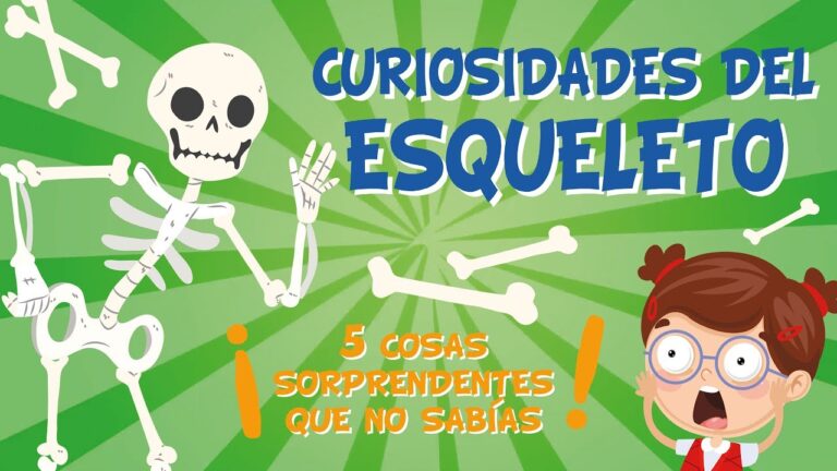 ¿Cuántos Huesos Tiene el Cuerpo Humano de un Bebé? Descubre la ...