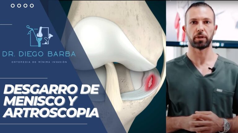 Todo lo que Debes Saber sobre la Zona Roja y Blanca del Menisco ...