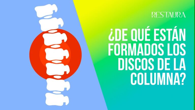 ¿De qué están hechos los discos intervertebrales? Descubre su ...