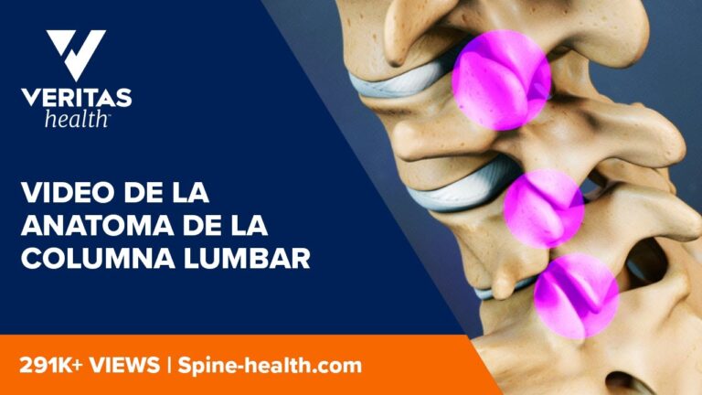¿Dónde se Encuentran los Discos Intervertebrales? Guía Completa sobre ...